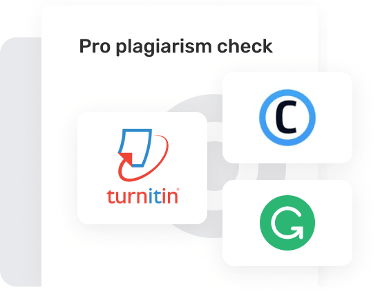 Write My Paper Org | Your Trust Essay Writing Service